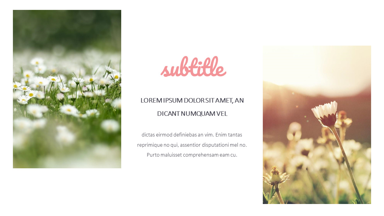 Daisy Google Slides Themes|Lifestyle