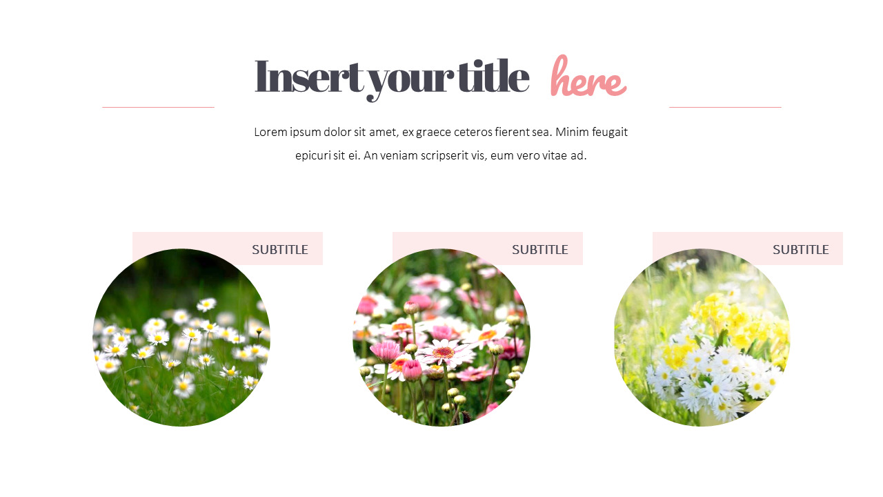 Daisy Google Slides Themes|Lifestyle