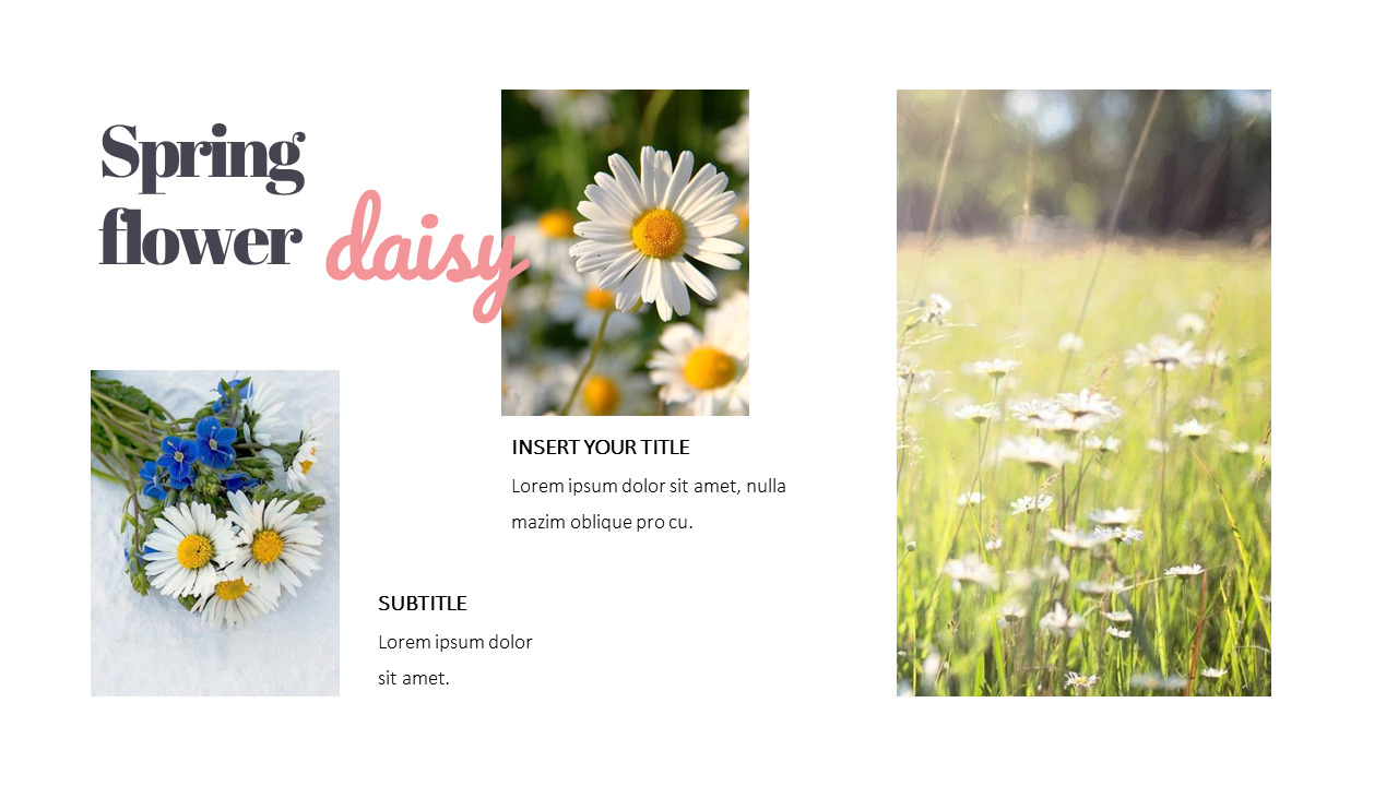 Daisy Google Slides Themes|Lifestyle