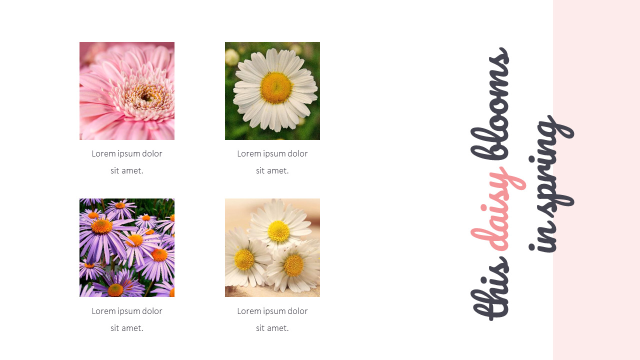Daisy Google Slides Themes|Lifestyle