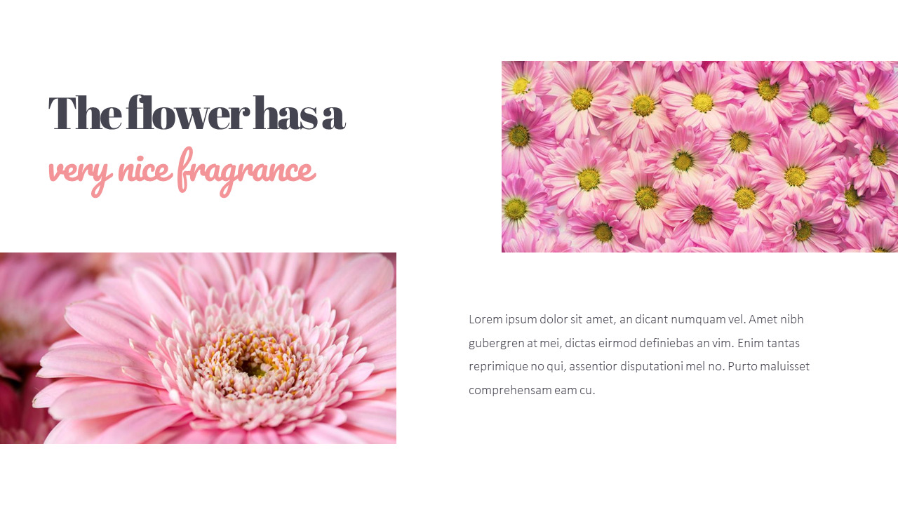 Daisy Google Slides Themes|Lifestyle