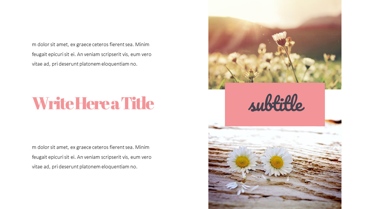 Daisy Google Slides Themes|Lifestyle