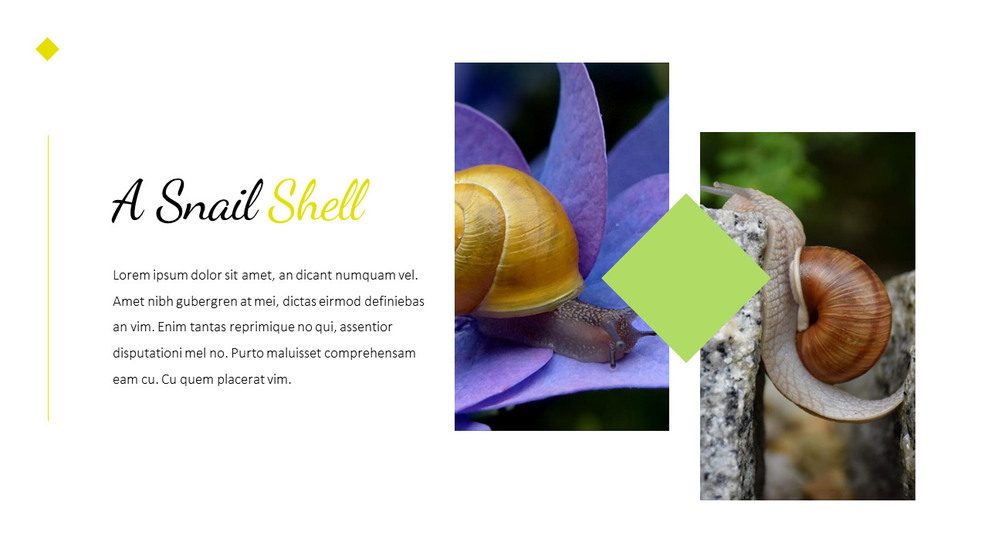 Snail presentation slide design|Lifestyle|Google