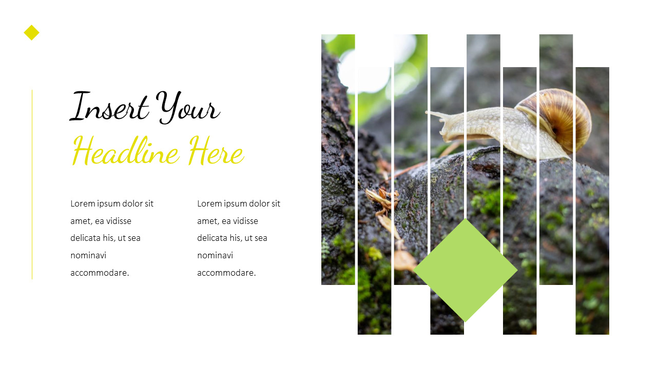 Snail presentation slide design|Lifestyle|Google