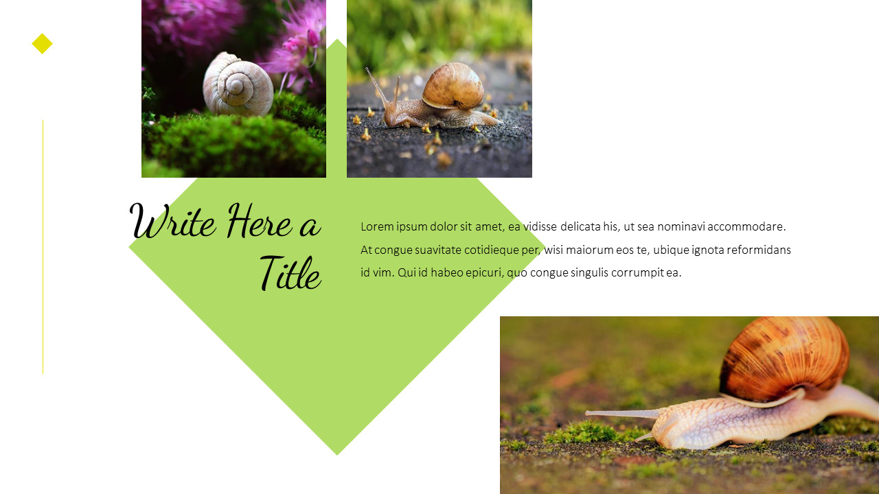 Snail presentation slide design|Lifestyle|Google
