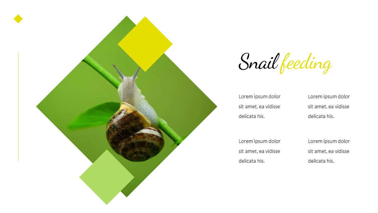 Snail presentation slide design|Lifestyle|Google