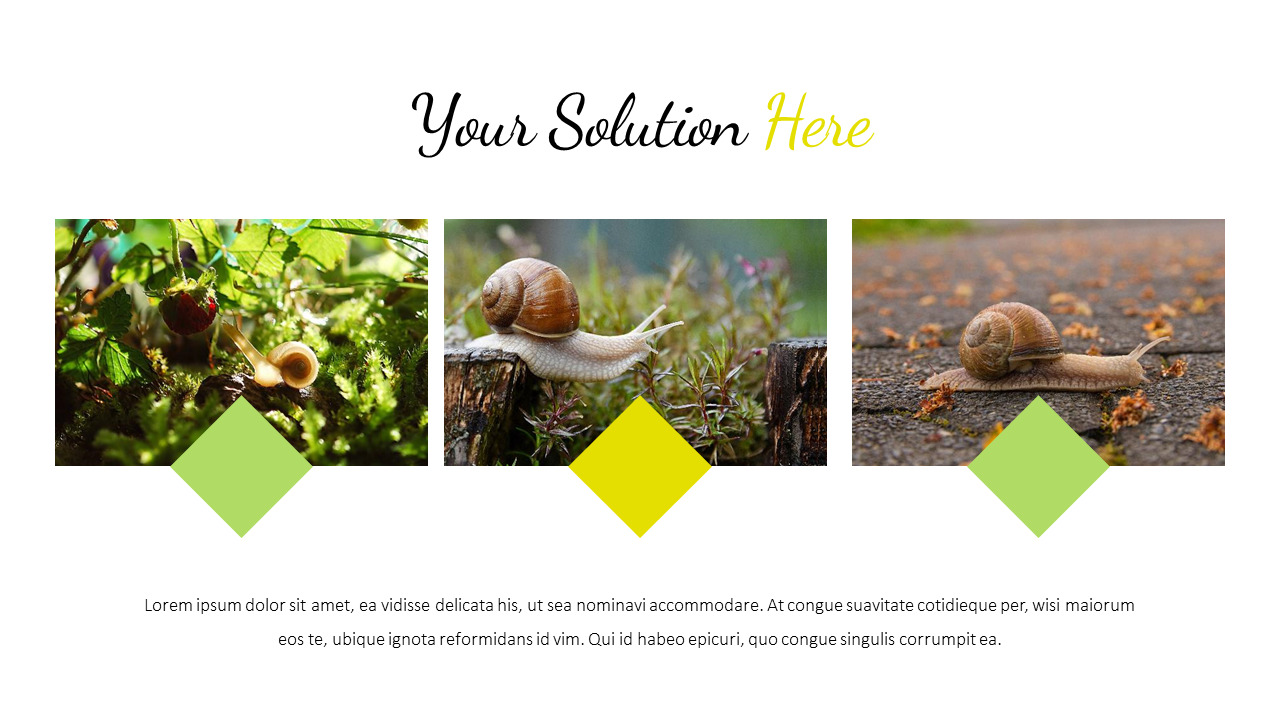 Snail presentation slide design|Lifestyle|Google