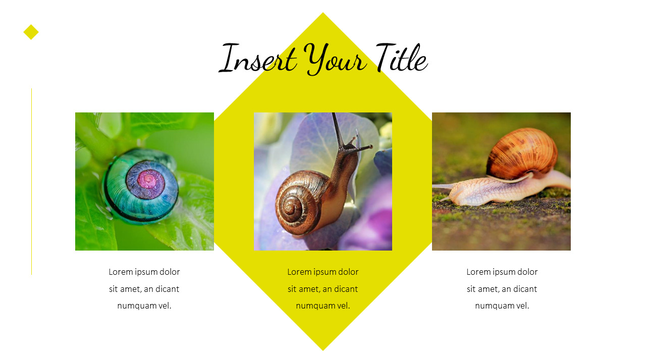 Snail presentation slide design|Lifestyle|Google