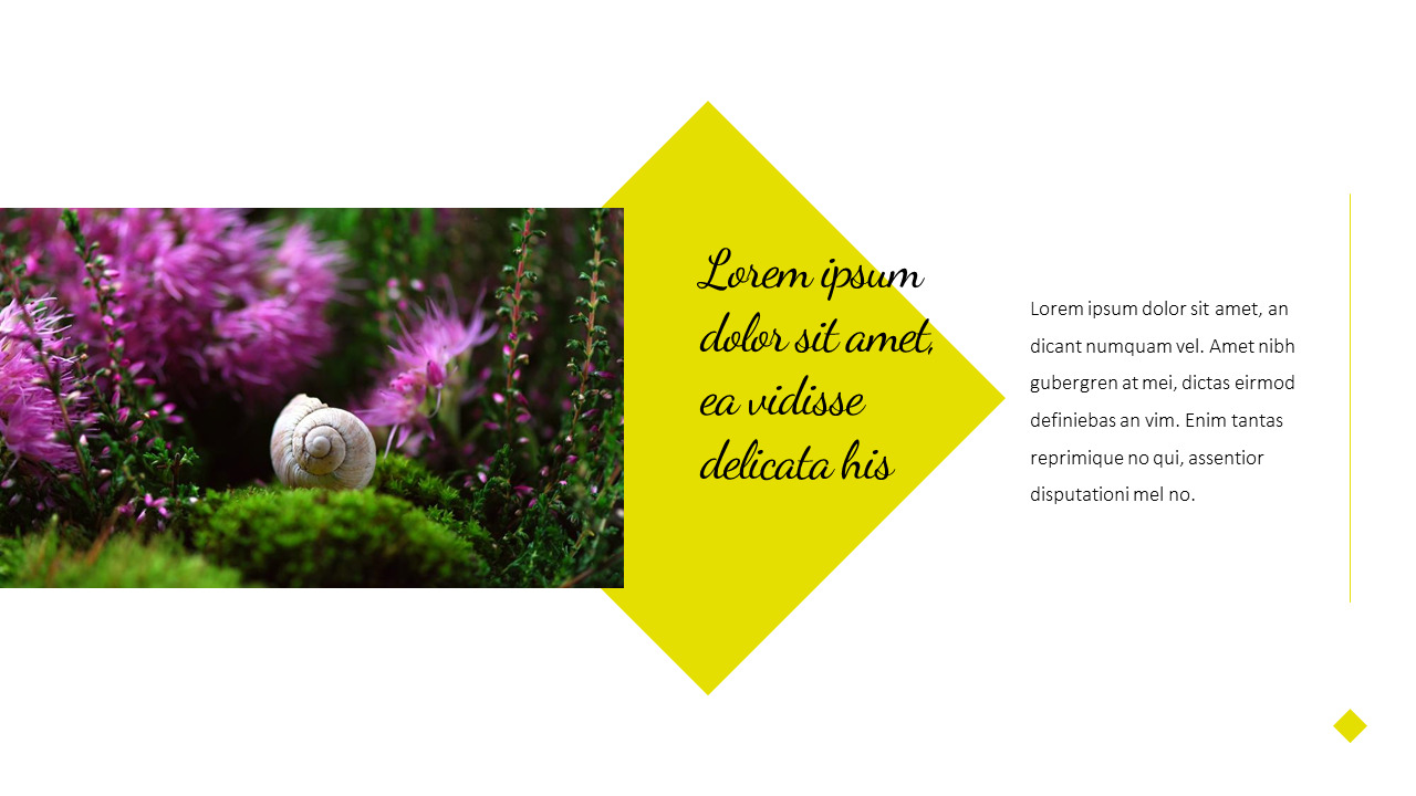 Snail presentation slide design|Lifestyle|Google