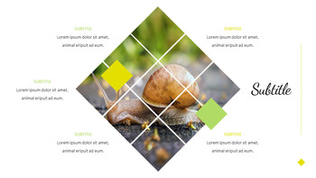 Snail presentation slide design|Lifestyle|Google