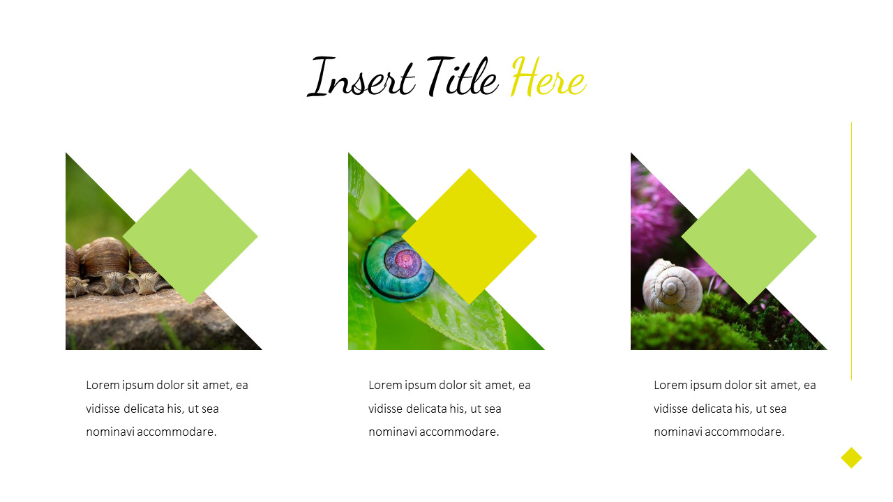 Snail presentation slide design|Lifestyle|Google