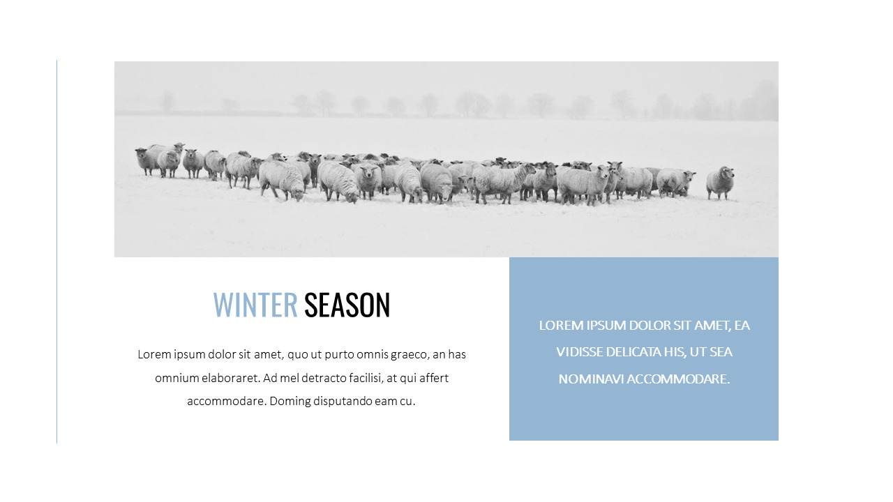 Sheep Google Slides mac|Lifestyle