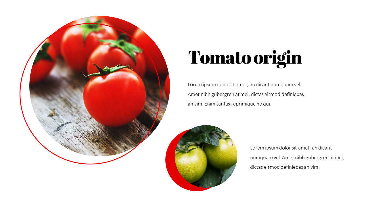 Tomato Google PPT Templates|Business|Slides