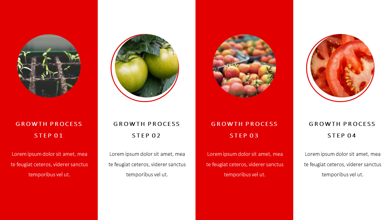 Tomato Google PPT Templates|Business|Slides