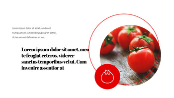 Tomato Google PPT Templates|Business|Slides