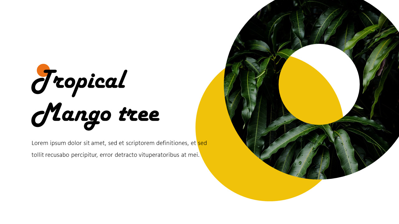 Mango PowerPoint Design ideas|Business|Templates