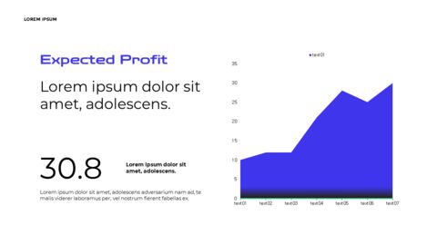 Best Team Pitch Deck company profile ppt template