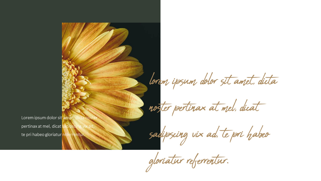 Sunflower PowerPoint Presentation Templates|Lifestyle