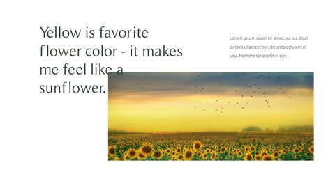 Sunflower PowerPoint Presentation Templates|Lifestyle