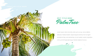 Tropical Beach Google Presentation Templates|Lifestyle|Slides