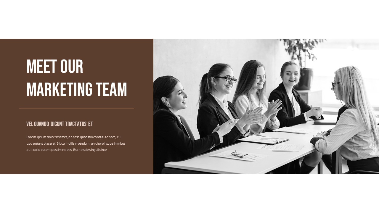 Business the Professional Business Presentation Templates