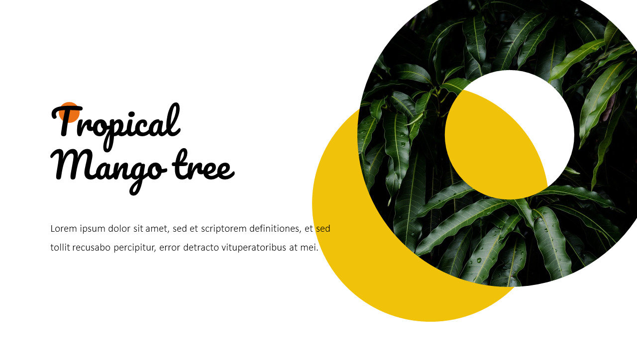 Mango slideshare ppt|Business|Google