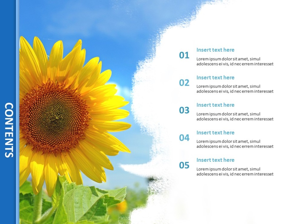 Clear Sky and Sunflowers - Free PPT Template