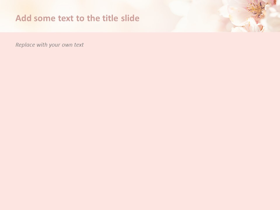 Colorful Spring Flowers - Free Presentation Templates