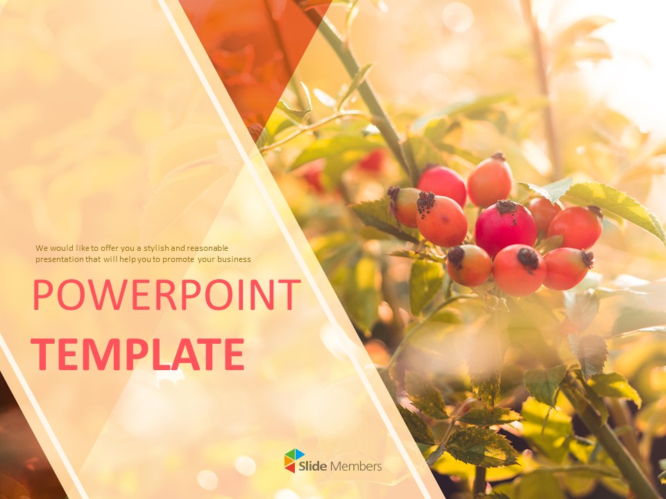 Fall Fruits - Free Powerpoint Sample