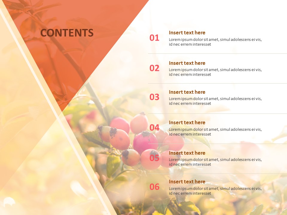 Fall Fruits - Free Powerpoint Sample