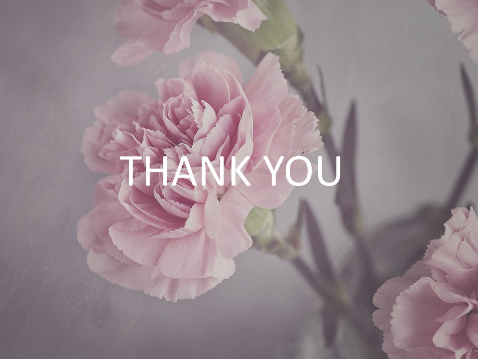 Free Powerpoint Sample - Gratitude Carnation