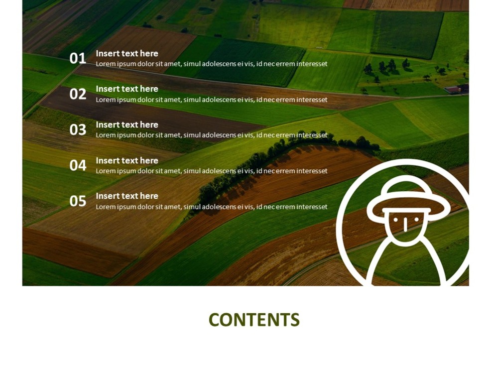 Free Powerpoint Sample - Paddy and Field|Templates|Slides