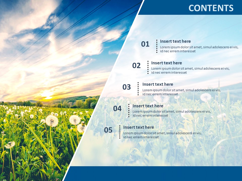Free Presentation Templates - Sunset on Leaves|PPT|Slides