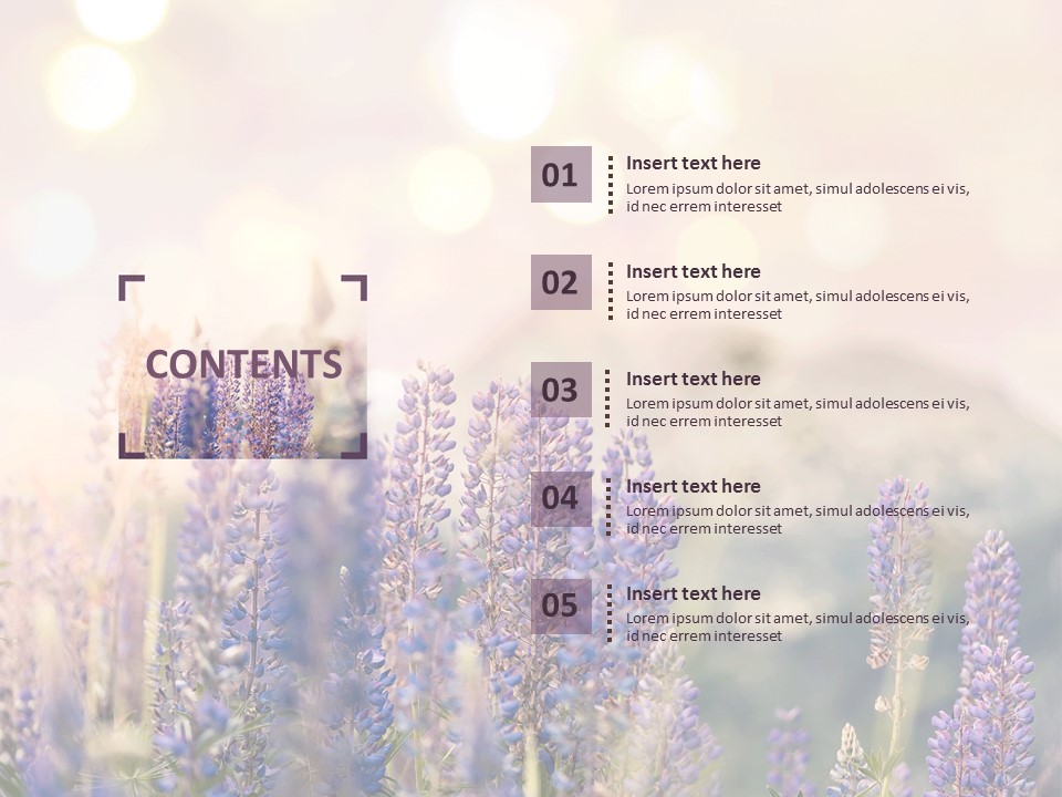 Free Template Design - Purple Lavender