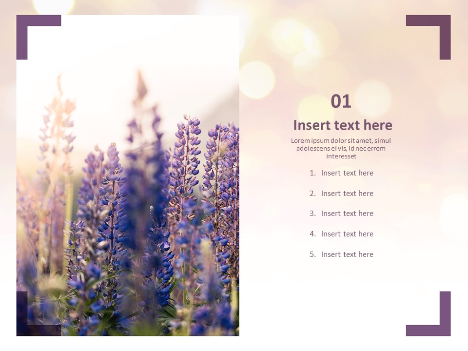 Free Template Design - Purple Lavender