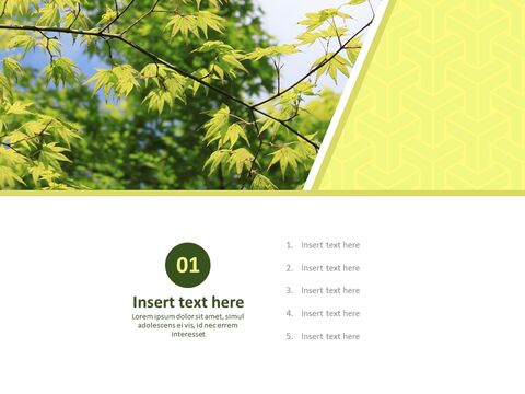 Feuilles vertes - Modèles de présentation gratuits