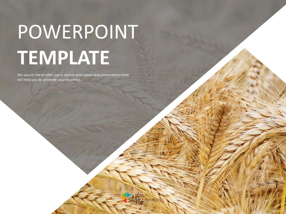 Autumn Harvest Leaves - Free Presentation Templates