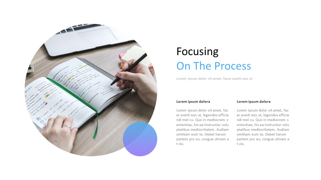 Consulting Project Plan Business Presentation PPT