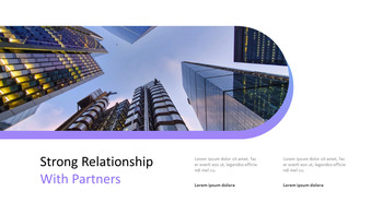 Consulting Project Plan Business Presentation PPT