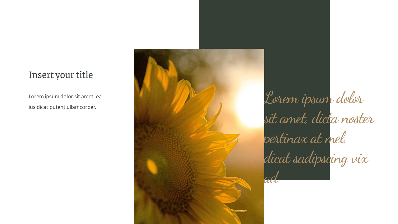 Sunflower PowerPoint to Google Slides|Lifestyle