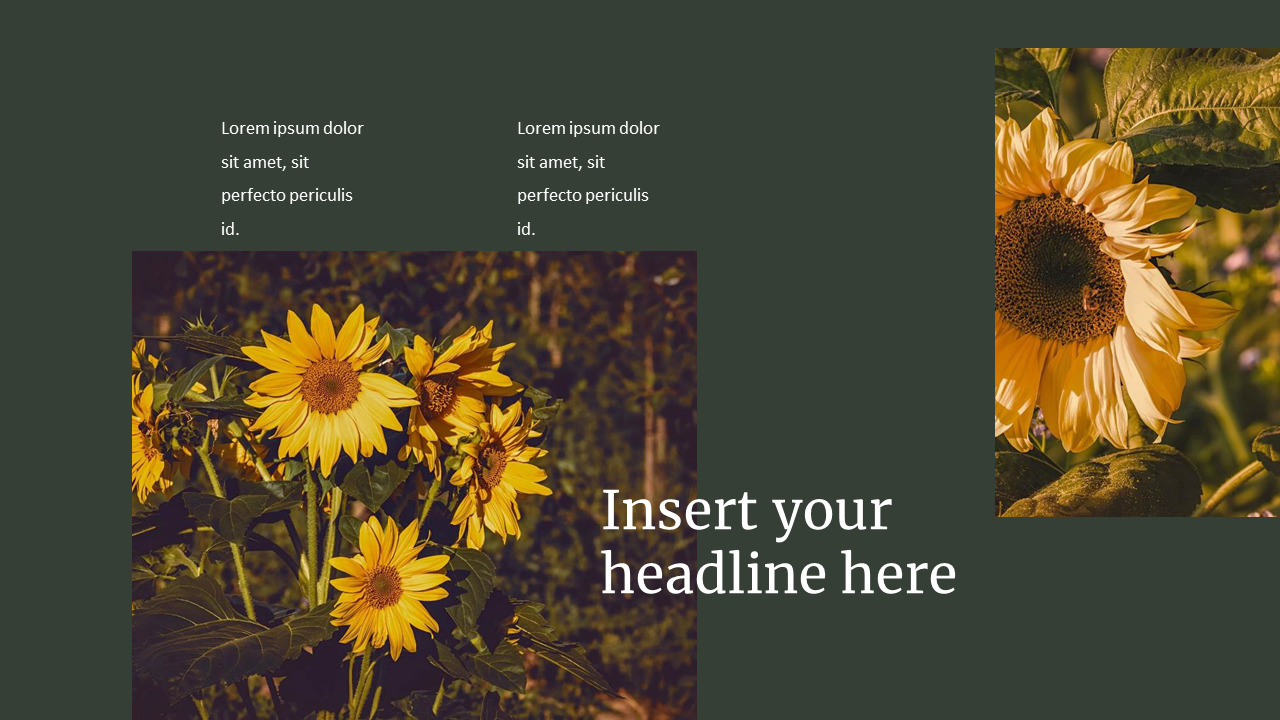 Sunflower PowerPoint to Google Slides|Lifestyle