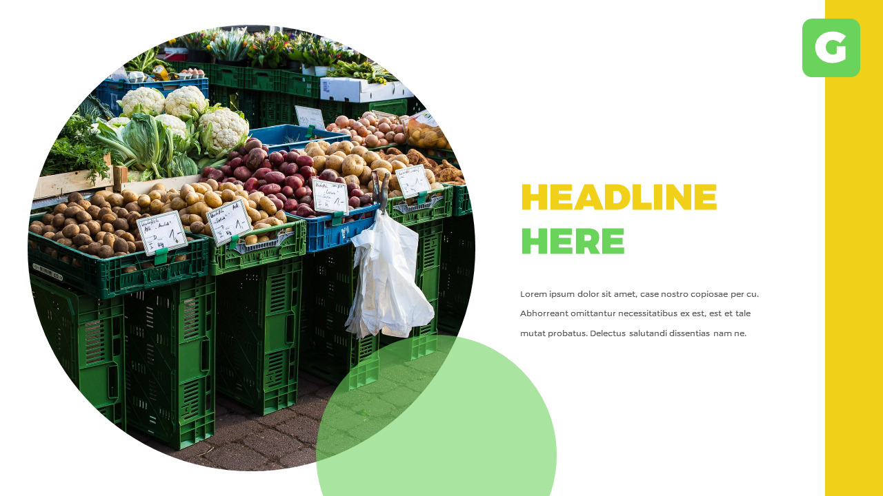 Grocery Store slides presentation|IT/Commerce|PPT Templates