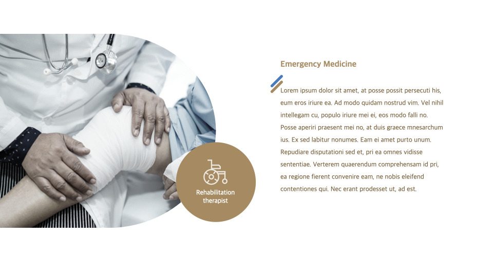 Hospital introduction team presentation template