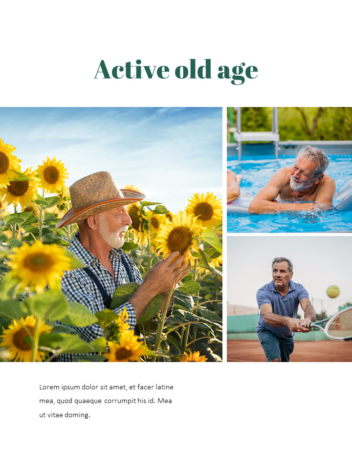 Active Old Age Action plan PPT