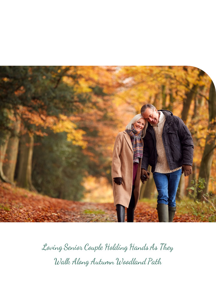 Active Old Age Action plan PPT