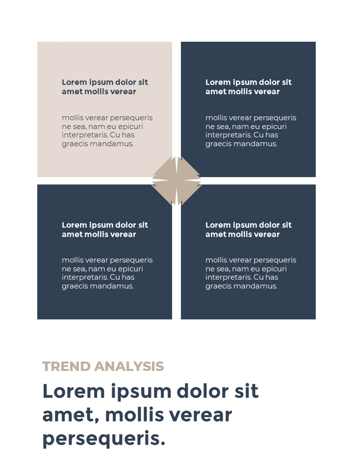 Business Plan Vertical template powerpoint