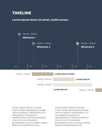 Business Plan Vertical template powerpoint