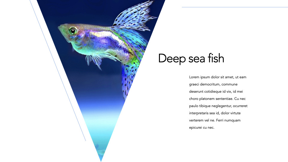 Aquarium PowerPoint for mac|Lifestyle|Keynote