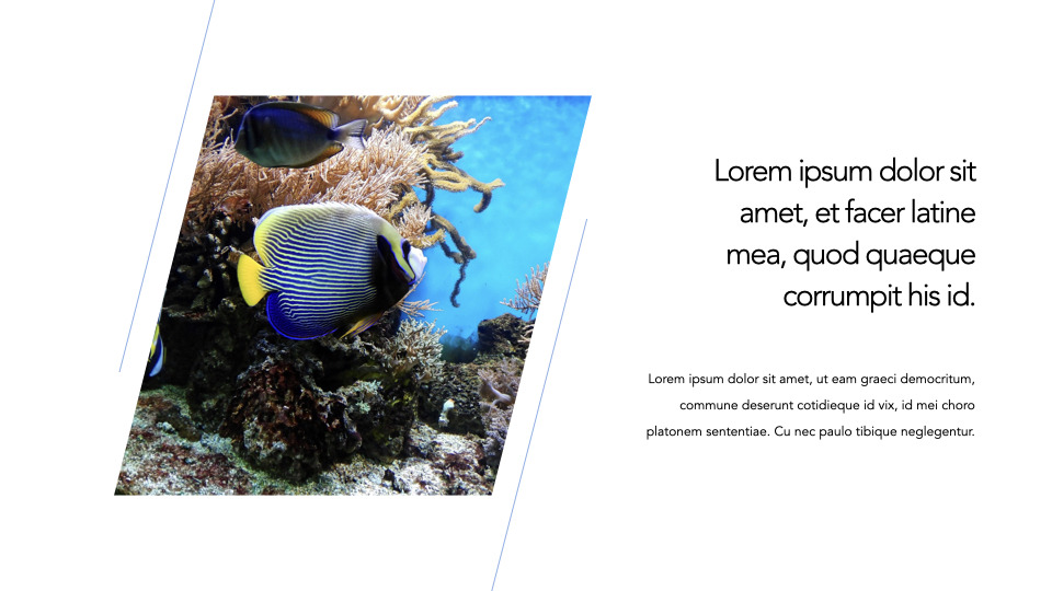 Aquarium PowerPoint for mac|Lifestyle|Keynote