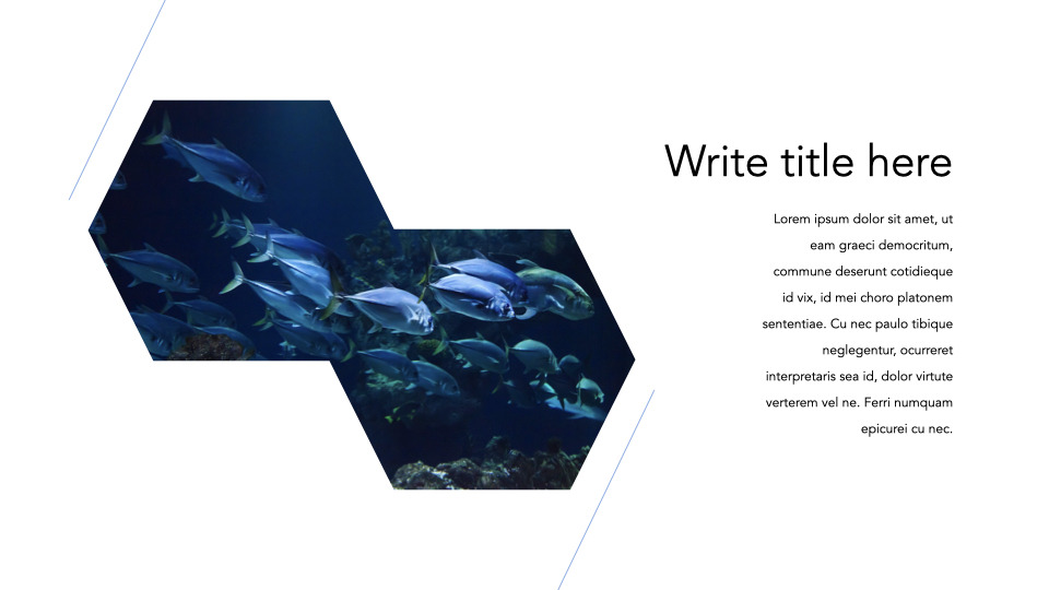 Aquarium PowerPoint for mac|Lifestyle|Keynote